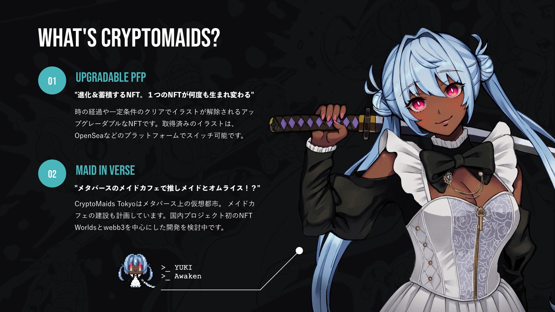 進化する可愛いメイドNFT CryptoMaidsとは？創作を楽しむPJ